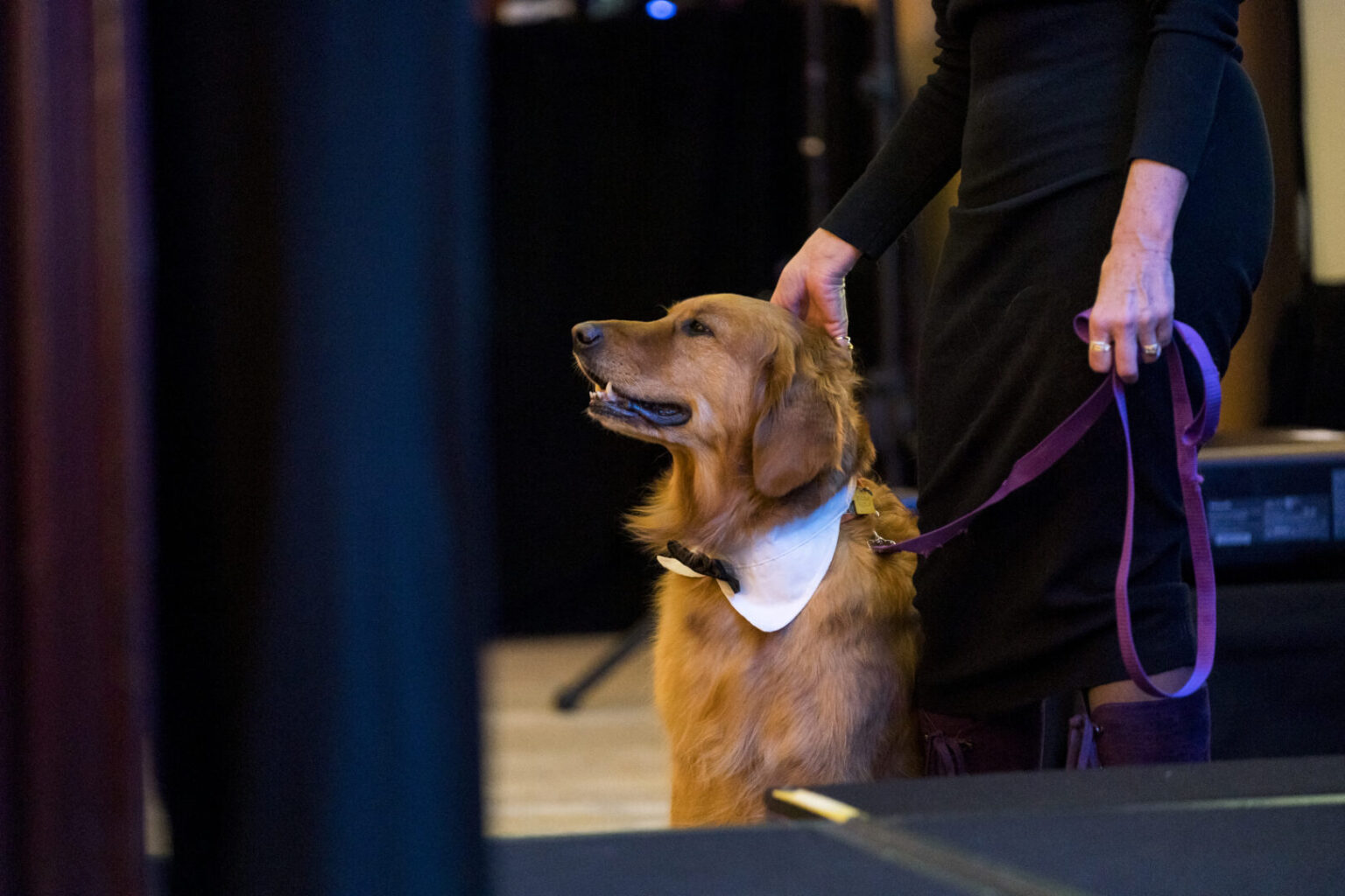 Breaking the Cycle: A Look at our Batterers Intervention Program ...